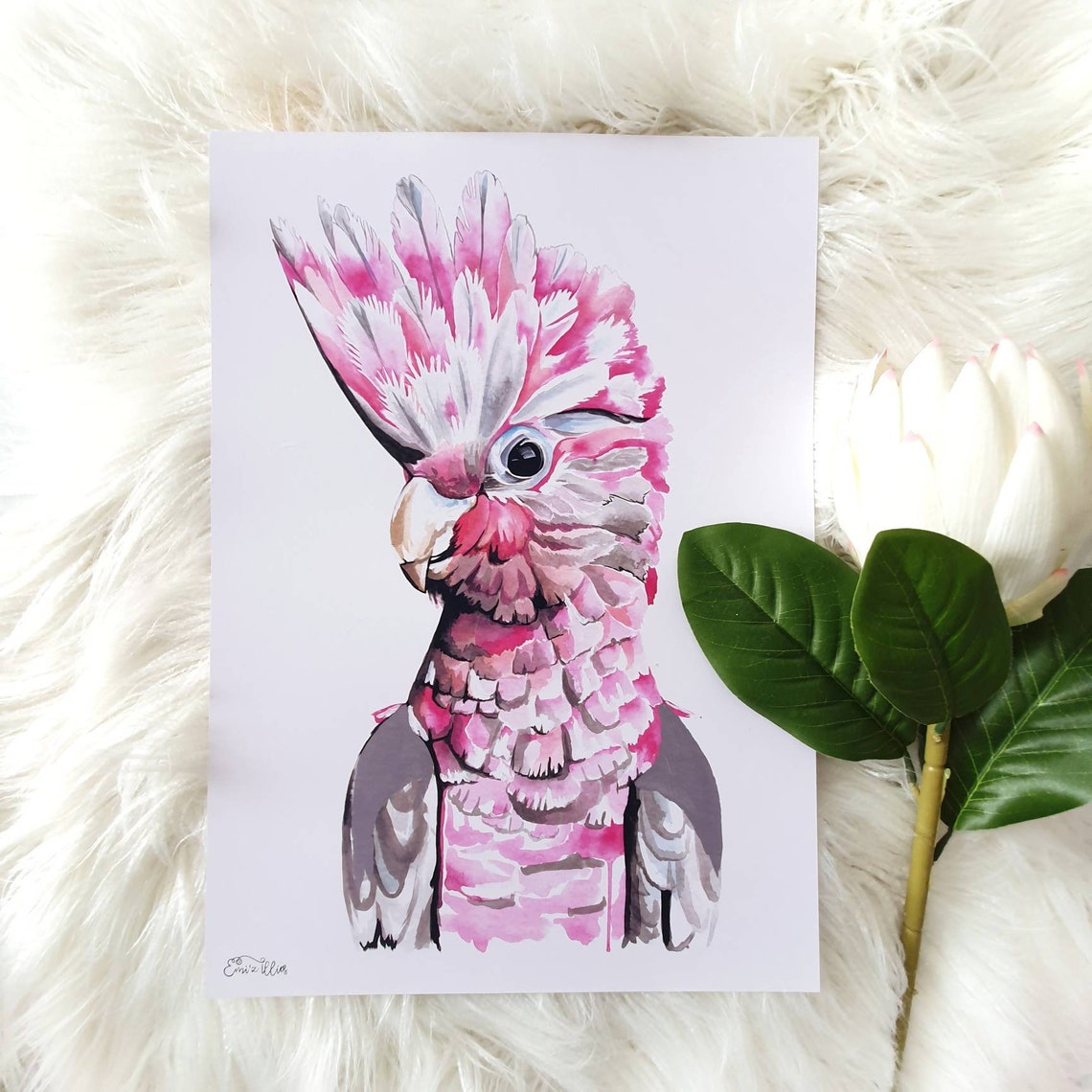Galah, Watercolour Galah, Home Decor, Watercolour Print, Galah Print ...