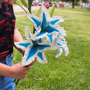 Silent Princess Flower Breath of the Wild, BOTW, Legend of Zelda ...