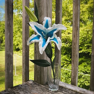 Silent Princess Flower - Breath of the Wild, BOTW, Legend of Zelda ...