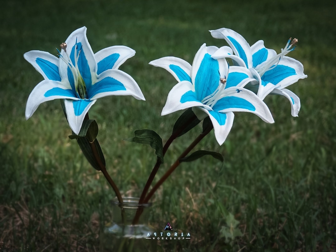 Silent Princess Flower Bouqet Bundle - Breath of the Wild, BOTW, Zelda ...