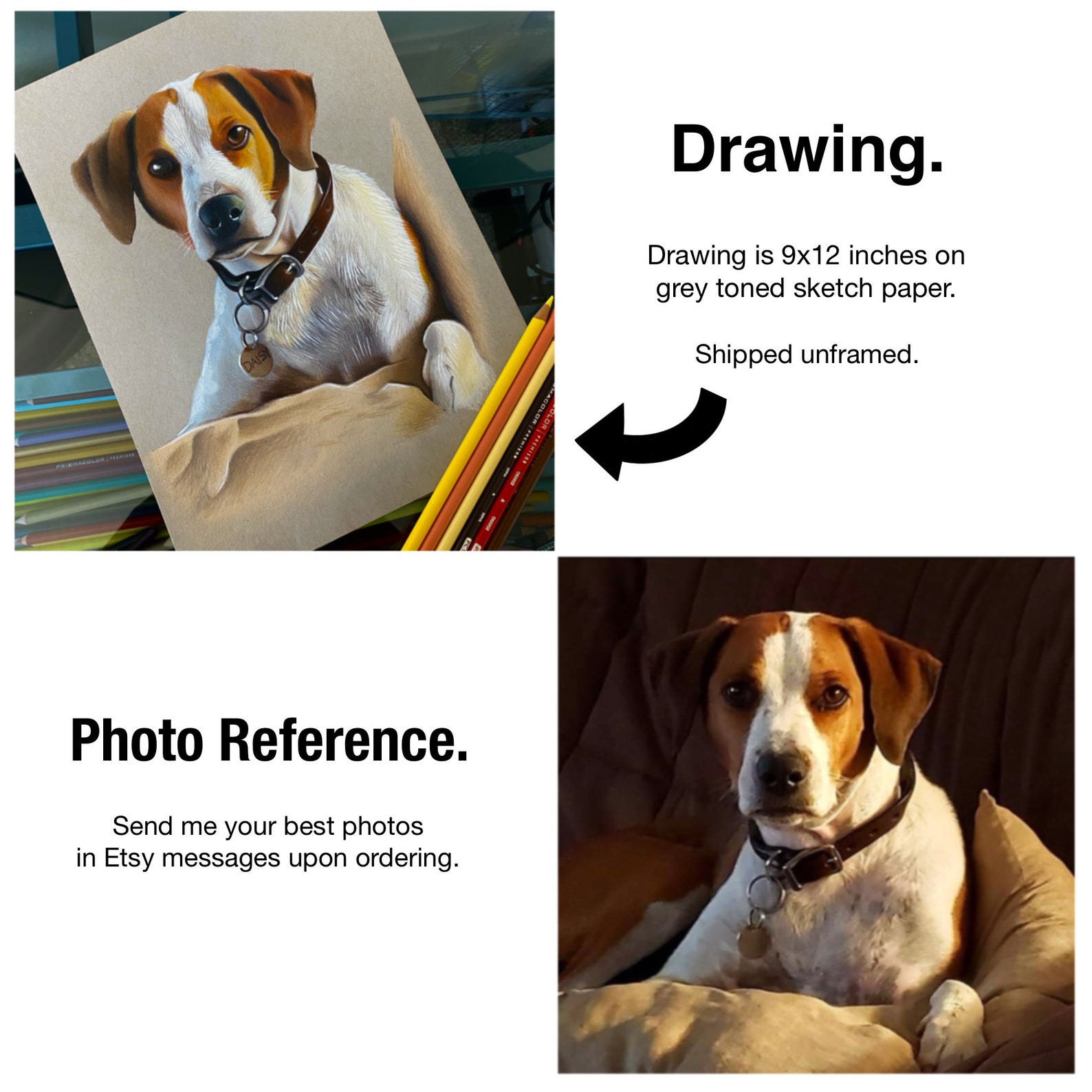 Pet Portait Custom - 100% Handmade - Color Pencil - Custom Portrait ...