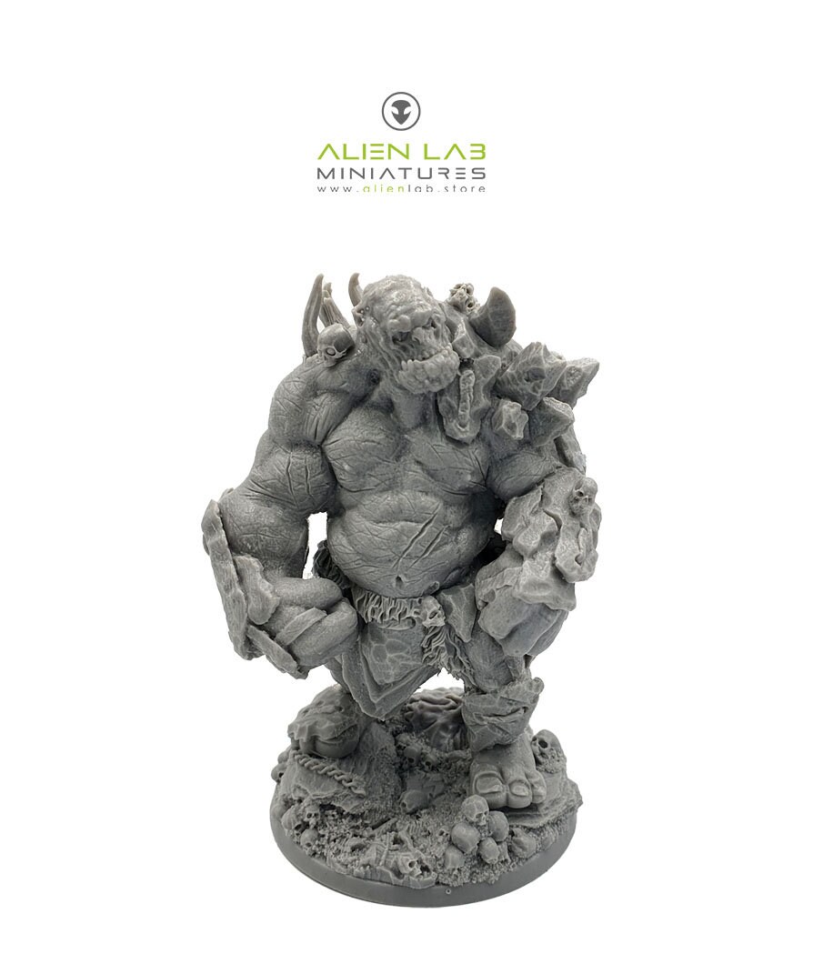 Stone Troll, Dungeons and Dragons, Dnd, RPG, Miniatures, Tabletop Games ...