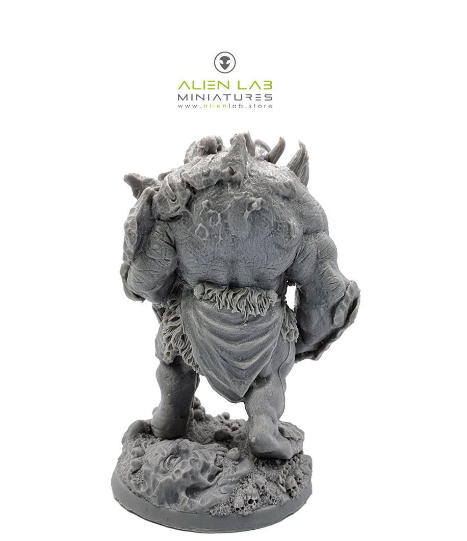 Stone Troll, Dungeons and Dragons, Dnd, RPG, Miniatures, Tabletop Games ...