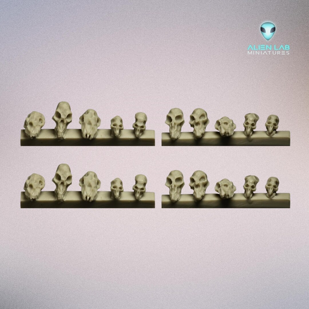 Resin Beast Skulls Set 28-32mm – Tabletop Terrain Bits for Wargaming ...