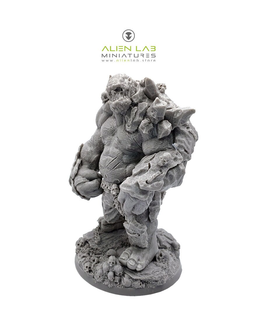 Stone Troll, Dungeons and Dragons, Dnd, RPG, Miniatures, Tabletop Games ...