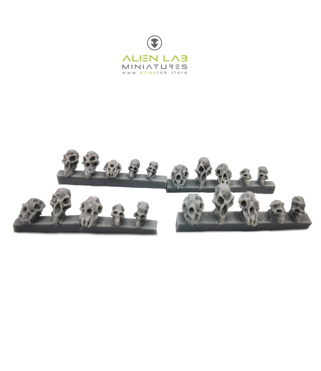 Skulls of the Beast for Tabletop Games - Scatter Terrain for D&D ...