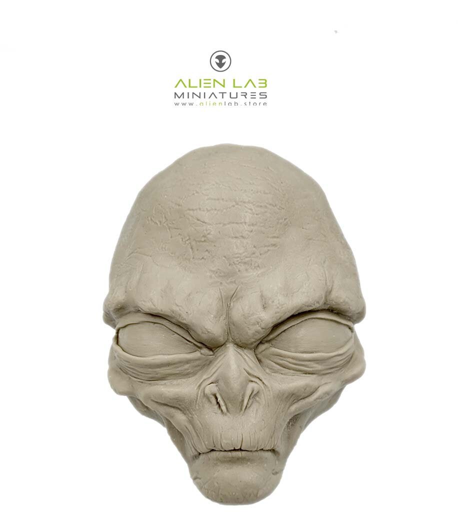 Alien Head, Science Fiction, Alien, Sculpture, Roswell, UFO ...