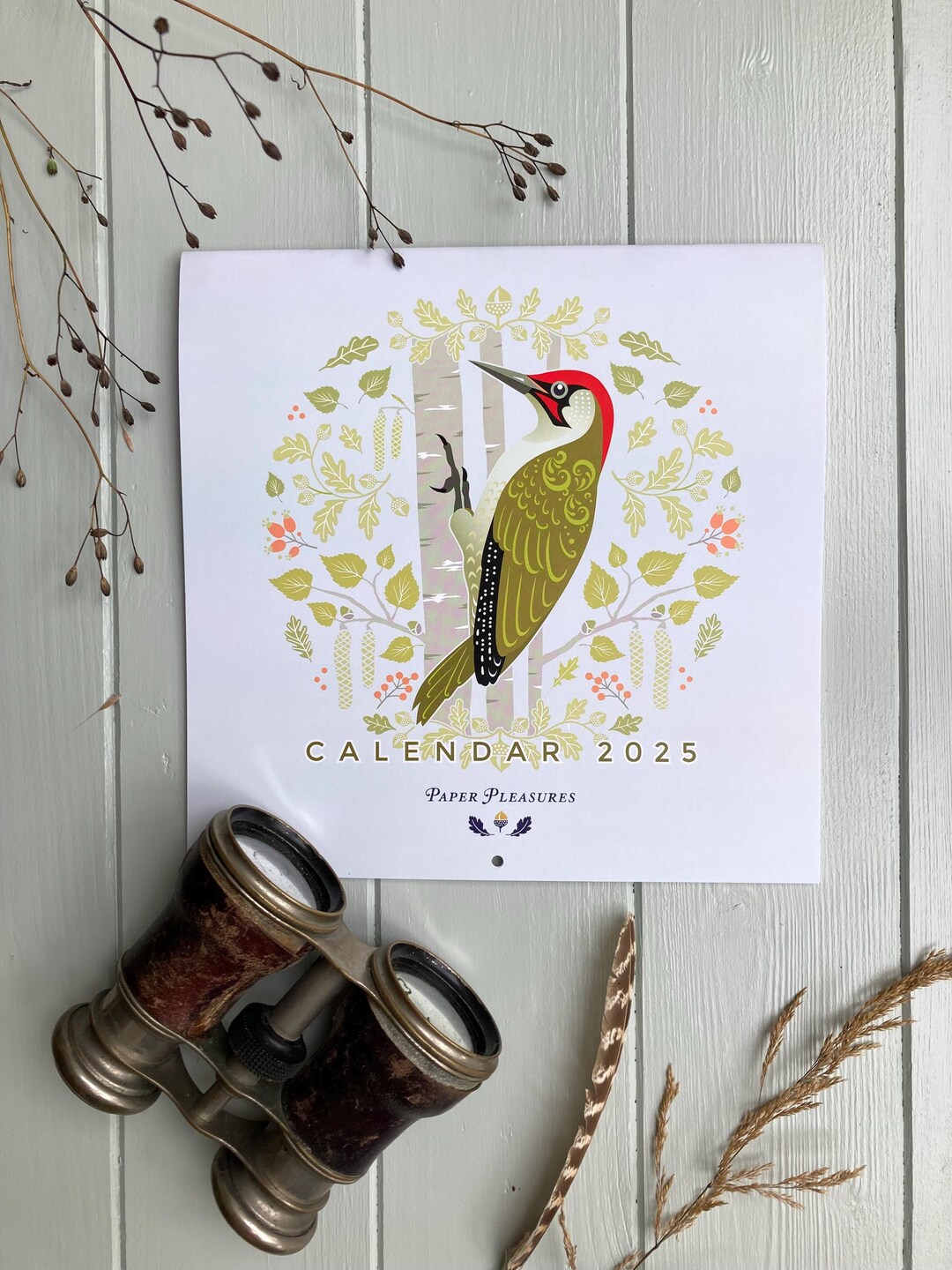 2025 Wall Calendar a Colourful Wildlife Calendar With Illustrated Birds ...