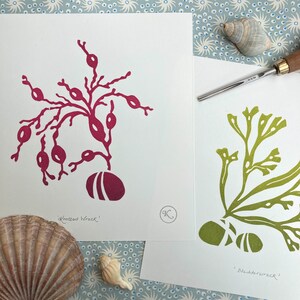 Linocut Print Seaweed, Pebbles Coastal Print Beach Wall Art Green ...