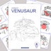 Paper Craft DIY Venusaur - Pokemon - Paper Model Art, Low Poly DIY, DIY ...