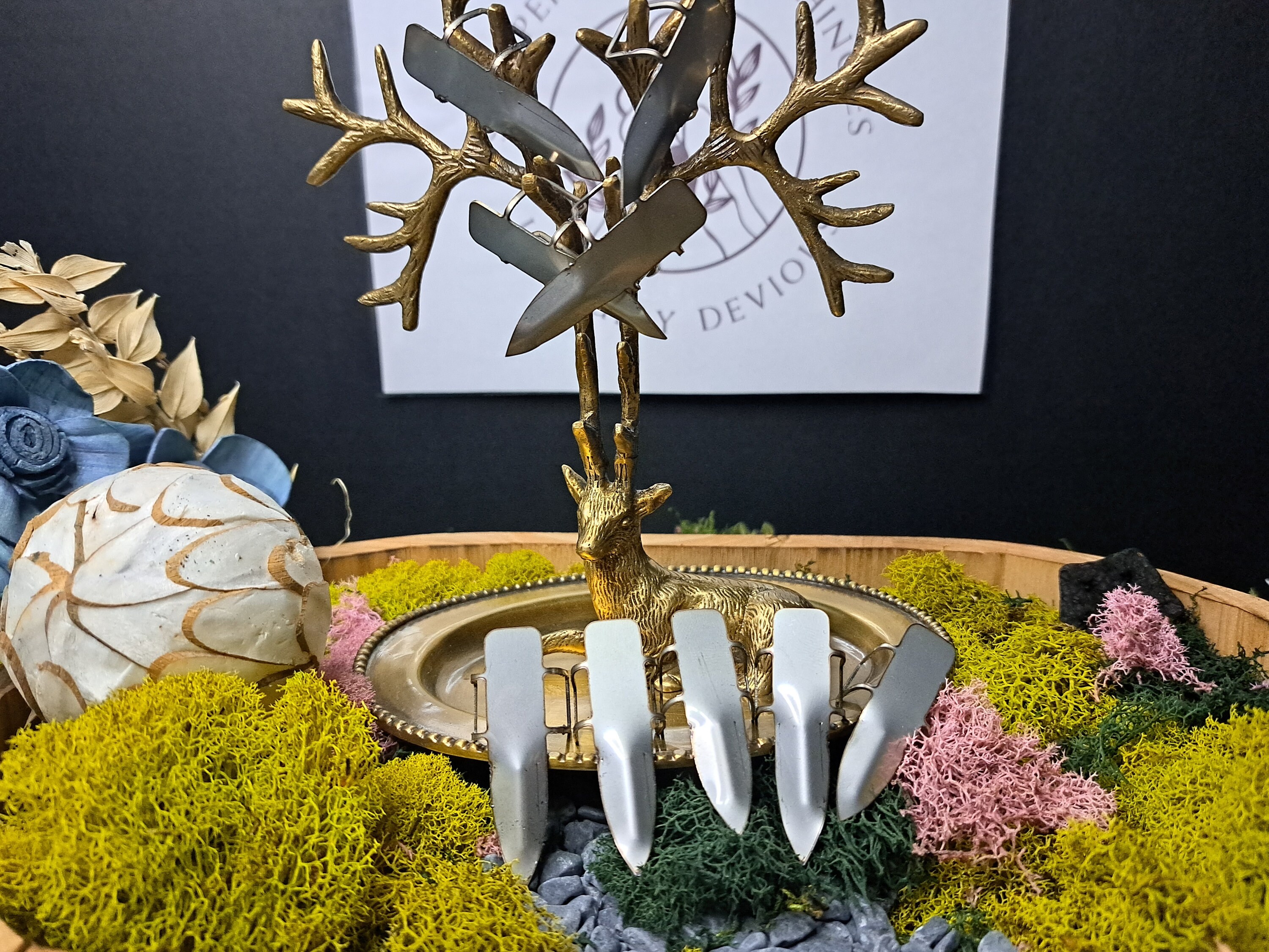 BDSM Primal Scratcher Claws SET OF 10 Stainless Steel Fully Adjustable ...