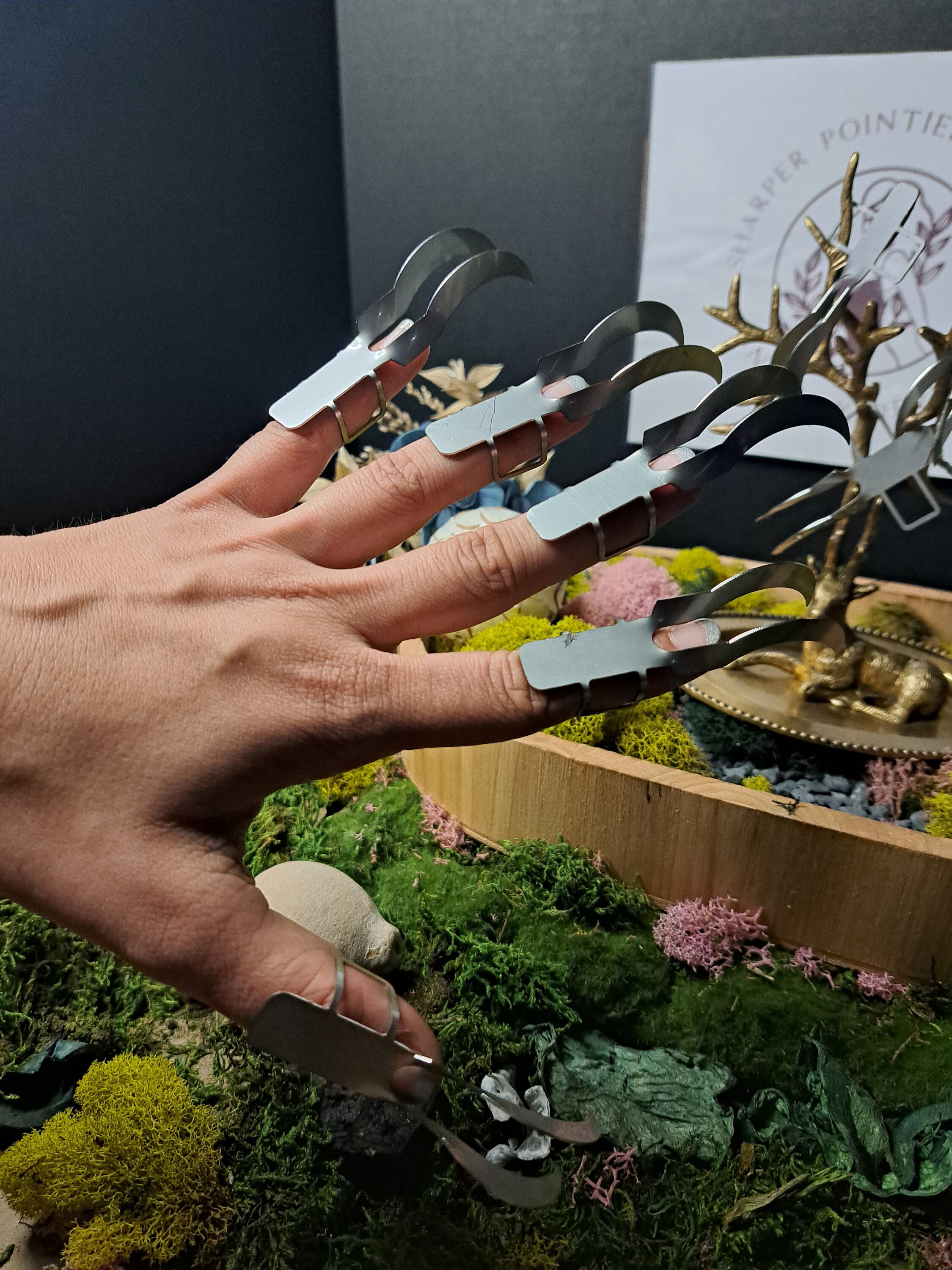 BDSM Claws Double Primal Scratcher SET OF 10 Stainless Steel Fully ...