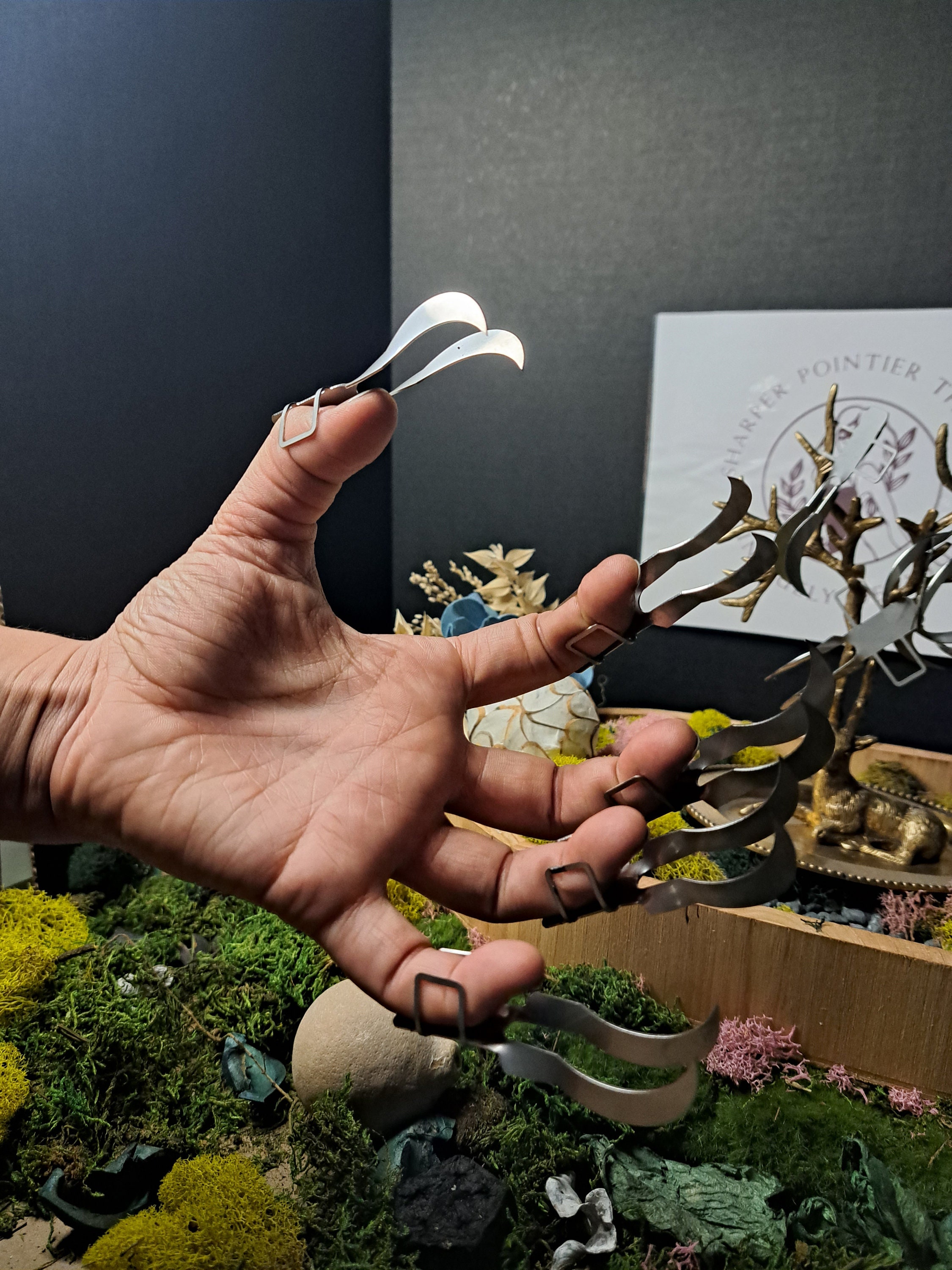 BDSM Claws Double Primal Scratcher SET OF 10 Stainless Steel Fully ...