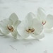 White Orchid Hair Pins Tropical Bridal Hair Piece Beach - Etsy