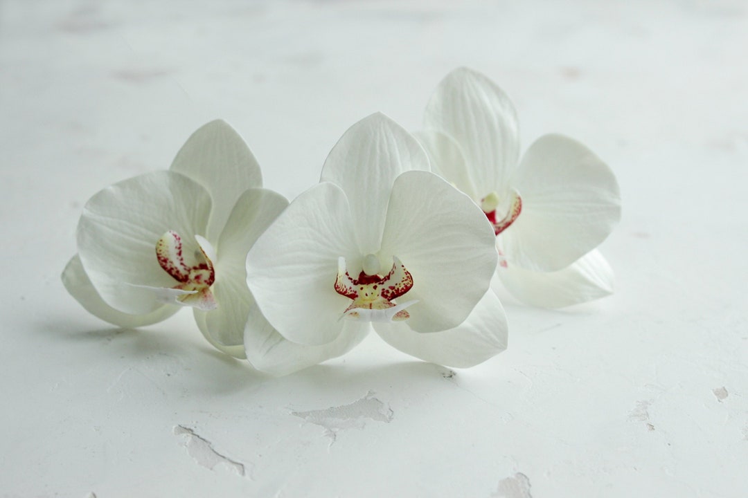 White Orchid Hair Pins, Tropical Bridal Hair Piece, Beach Wedding Hair ...