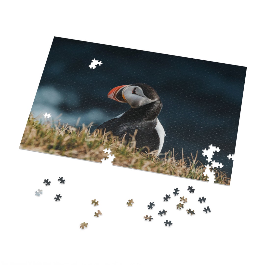 Atlantic Puffin Jigsaw Puzzle | West Iceland Puzzle | Fratercula ...