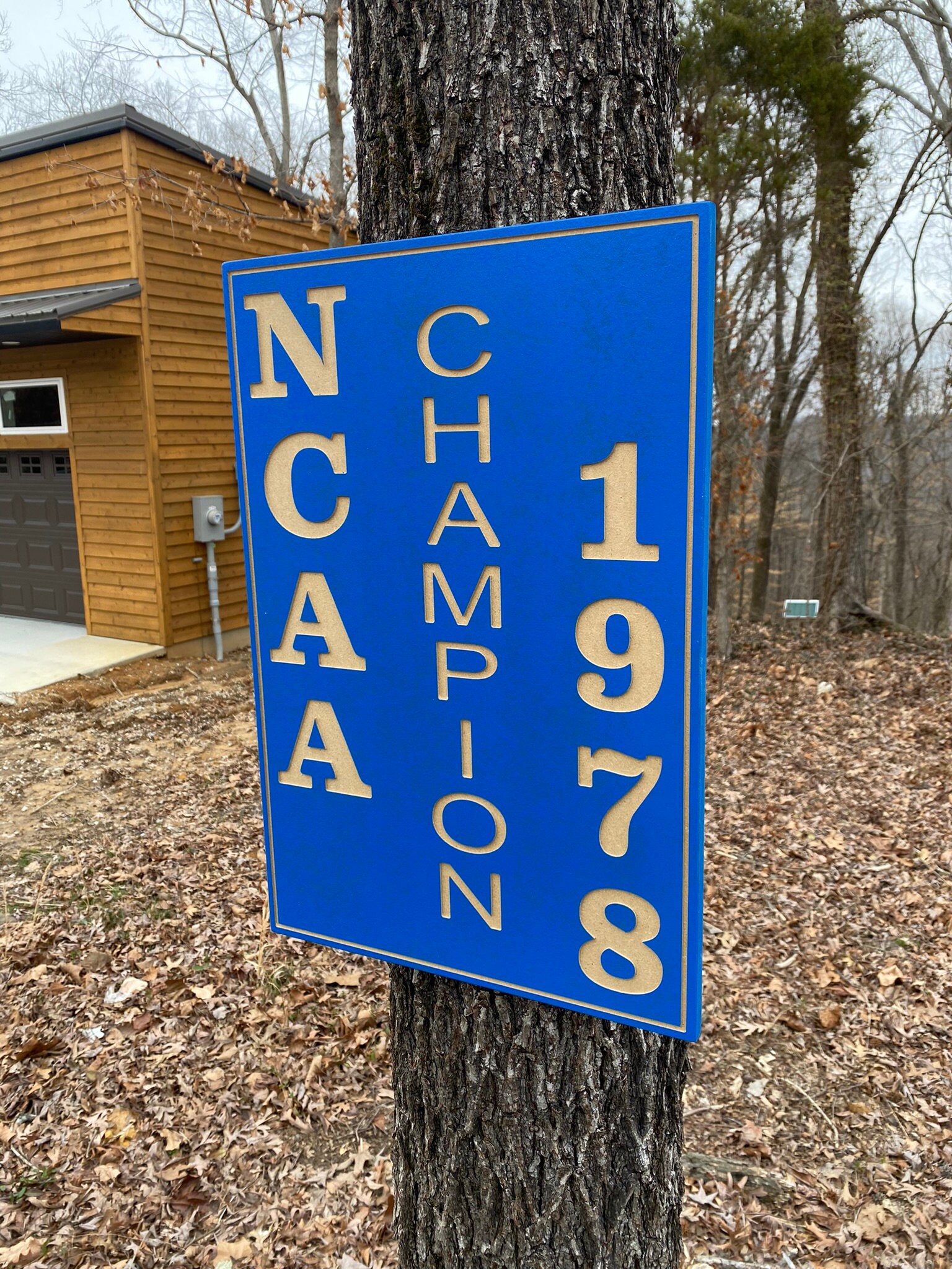 University of Kentucky 1978 National Championship Banner Rupp Arena ...