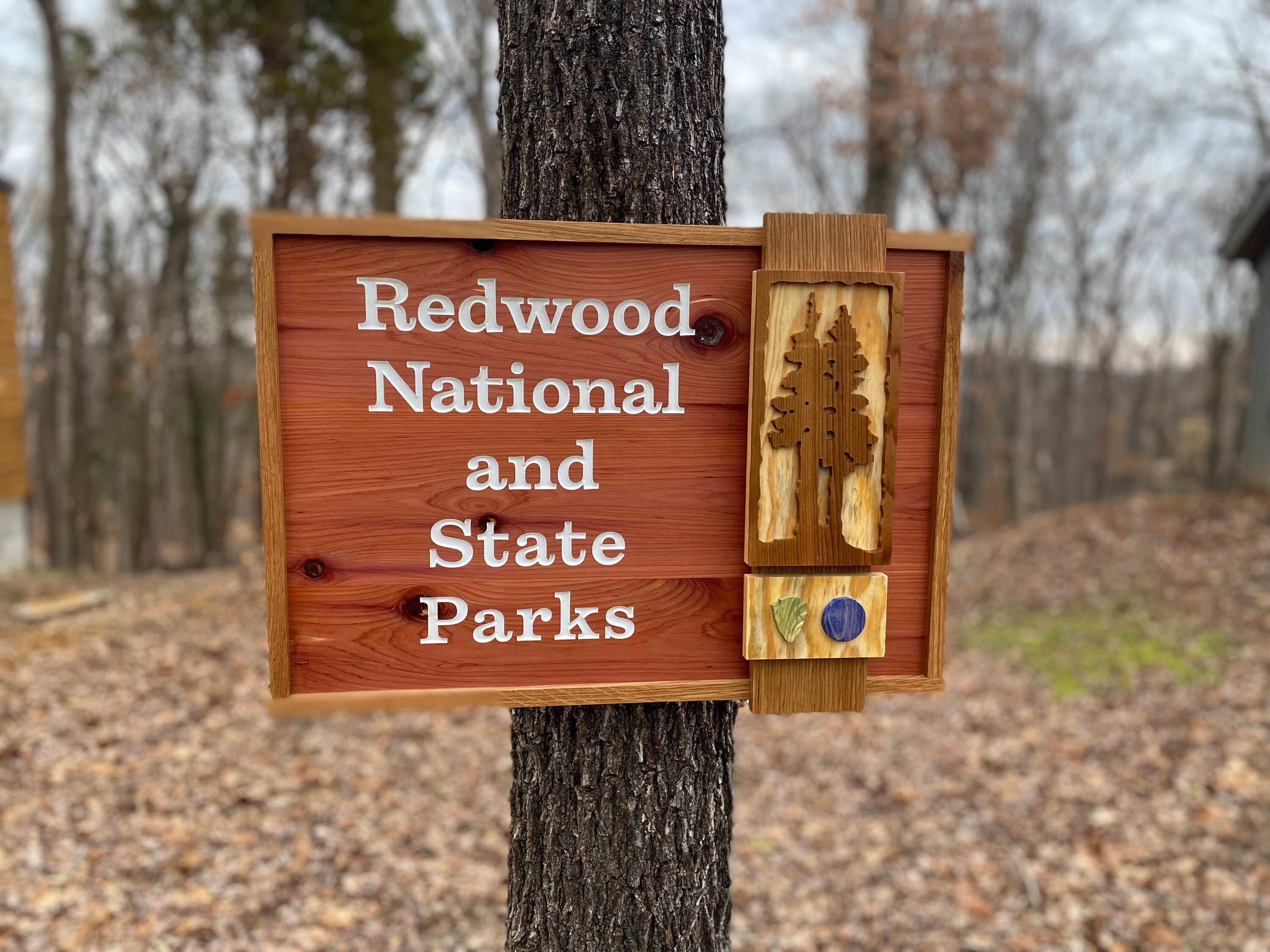 Redwood National and State Park Wall Art Decor Entrance Sign California ...