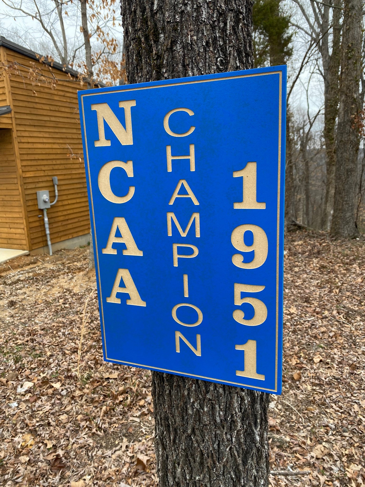 University of Kentucky 1951 National Championship Banner Rupp Arena ...