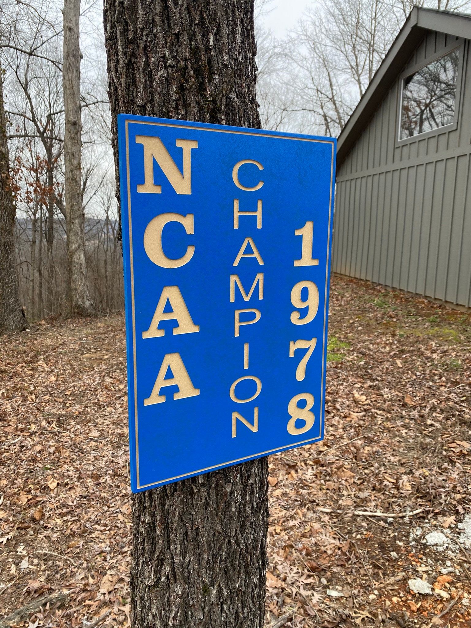 University of Kentucky 1978 National Championship Banner Rupp Arena ...