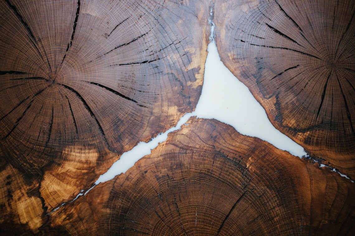 Coffee Table White Oak Cross-cut Slab Custom - Etsy