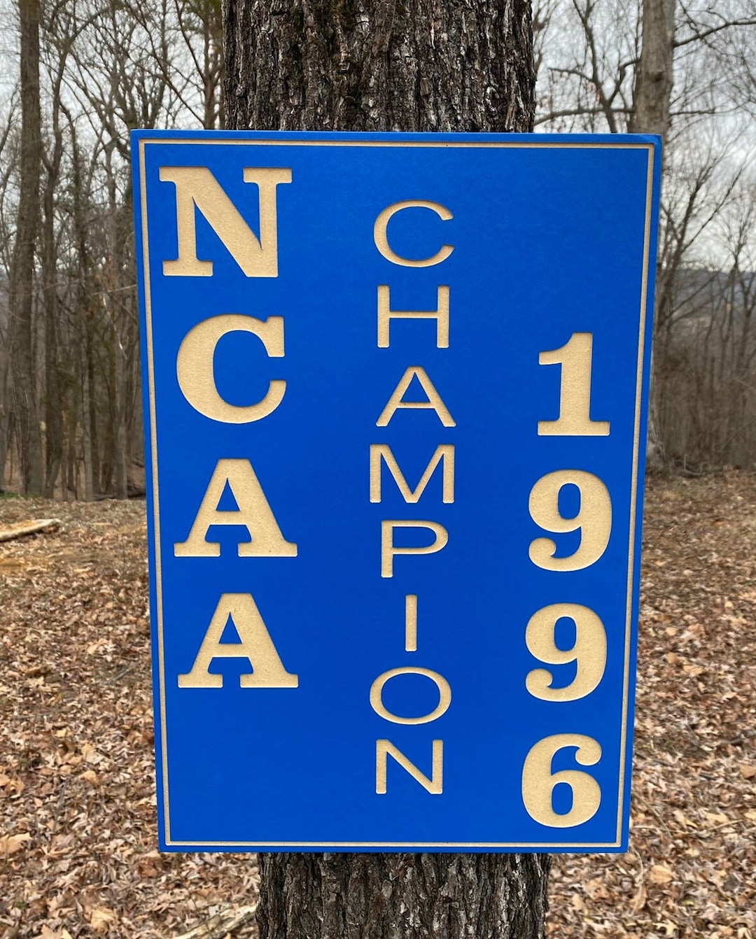 University of Kentucky 1996 National Championship Banner Rupp Arena ...