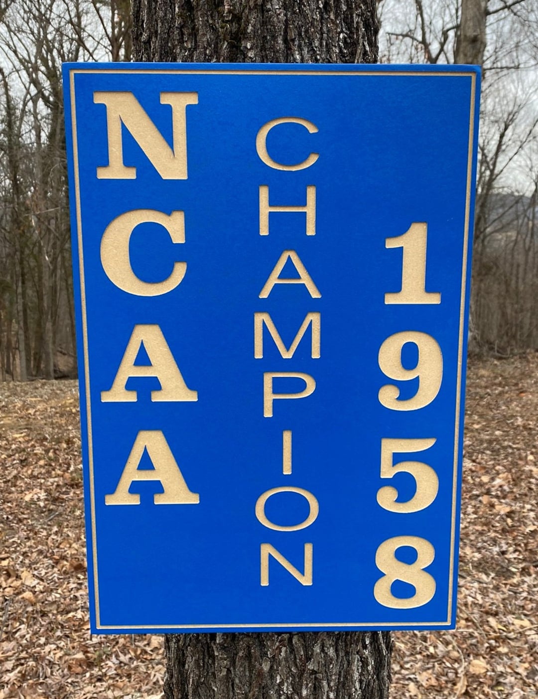 University of Kentucky 1958 National Championship Banner Rupp Arena ...
