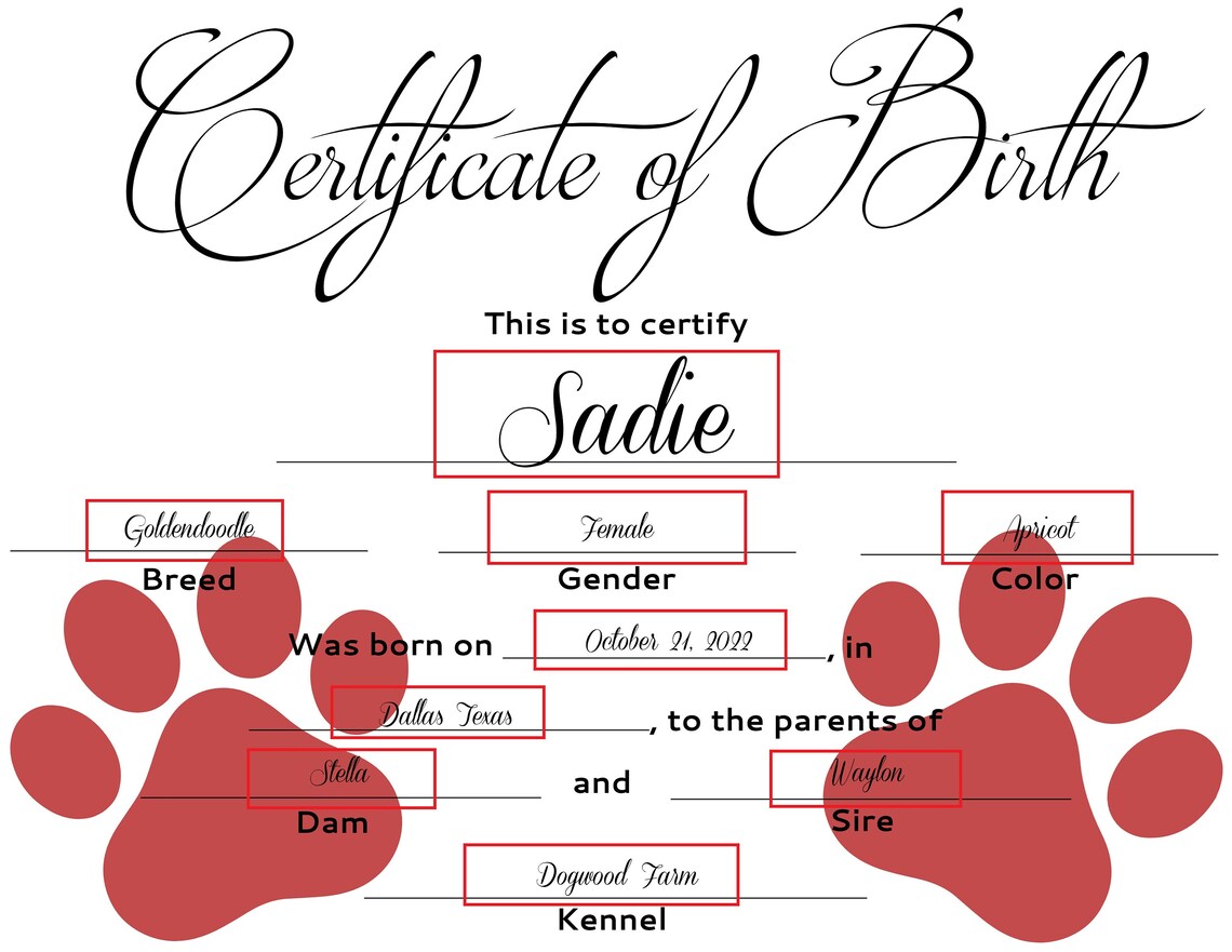 Two Paws Puppy Birth Certificate, Instant Digital Download, Corjl ...