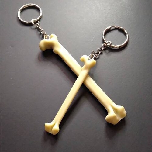 Human Cervical Vertebra Keychain Spine Bone Charm Key - Etsy