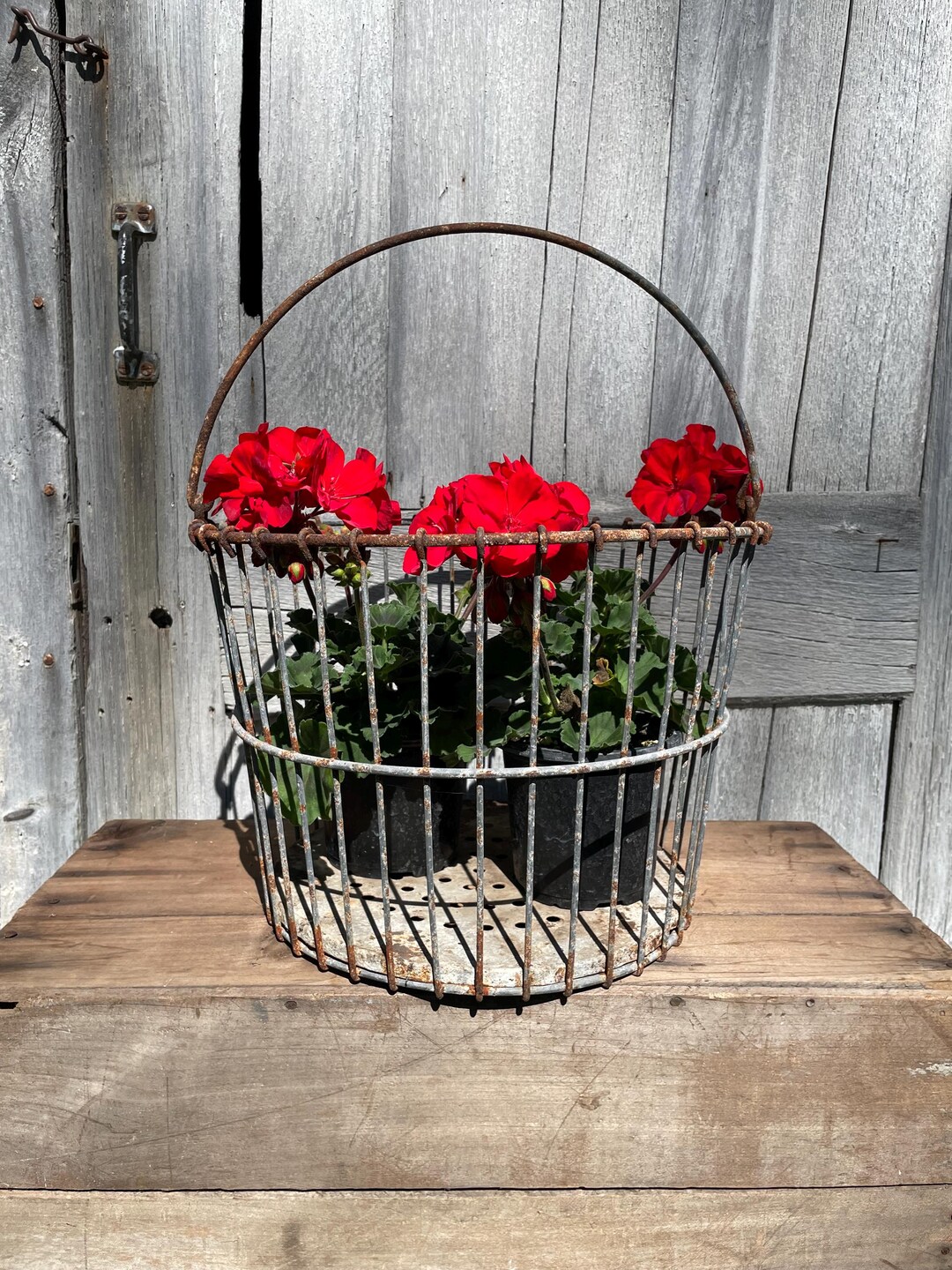 Vintage Wire Farm Basket, Egg Basket, Clam Basket, Oyster Basket ...