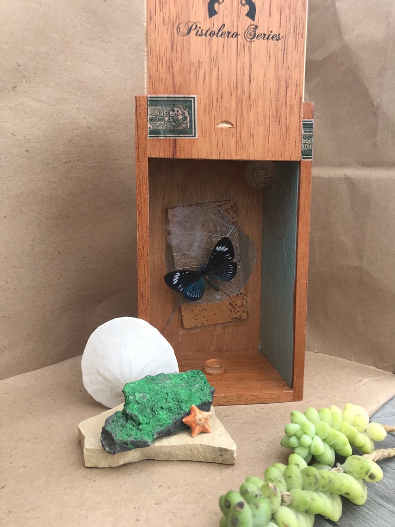 Realm of the Air Butterfly Box, Book Nook Shelf Insert, Gift for Writer ...