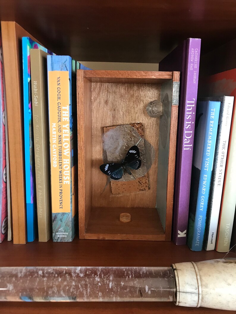 Realm of the Air Butterfly Box, Book Nook Shelf Insert, Gift for Writer ...