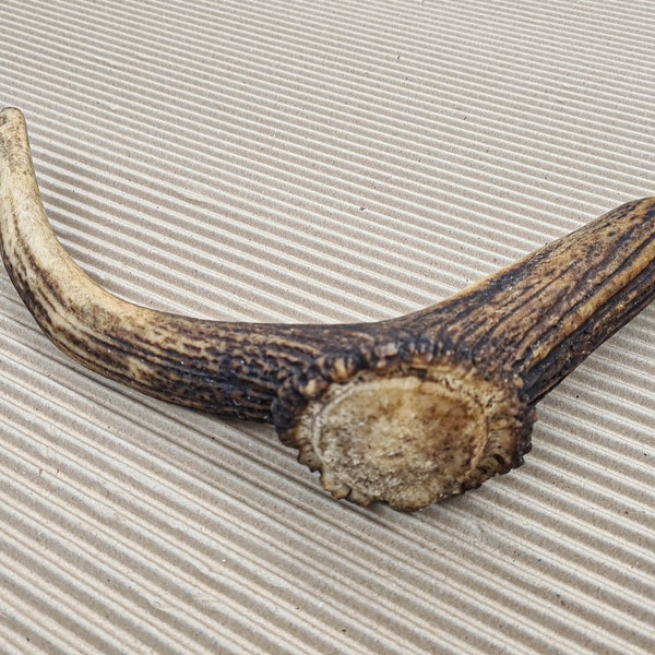 Deer Antler Handle - Etsy