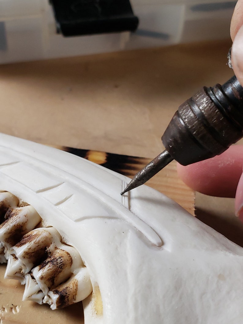 Bone Carving Tutorial and Video - Feather Carving - Etsy