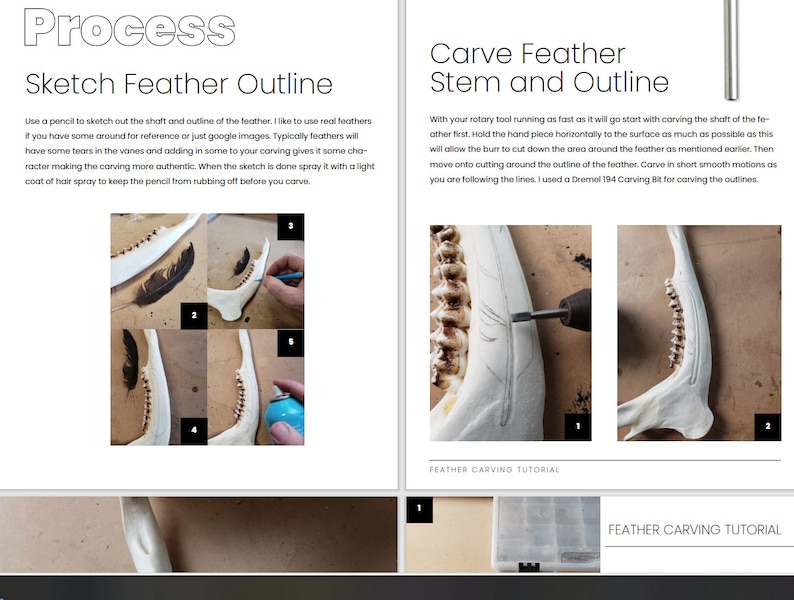 Bone Carving Tutorial and Video - Feather Carving - Etsy