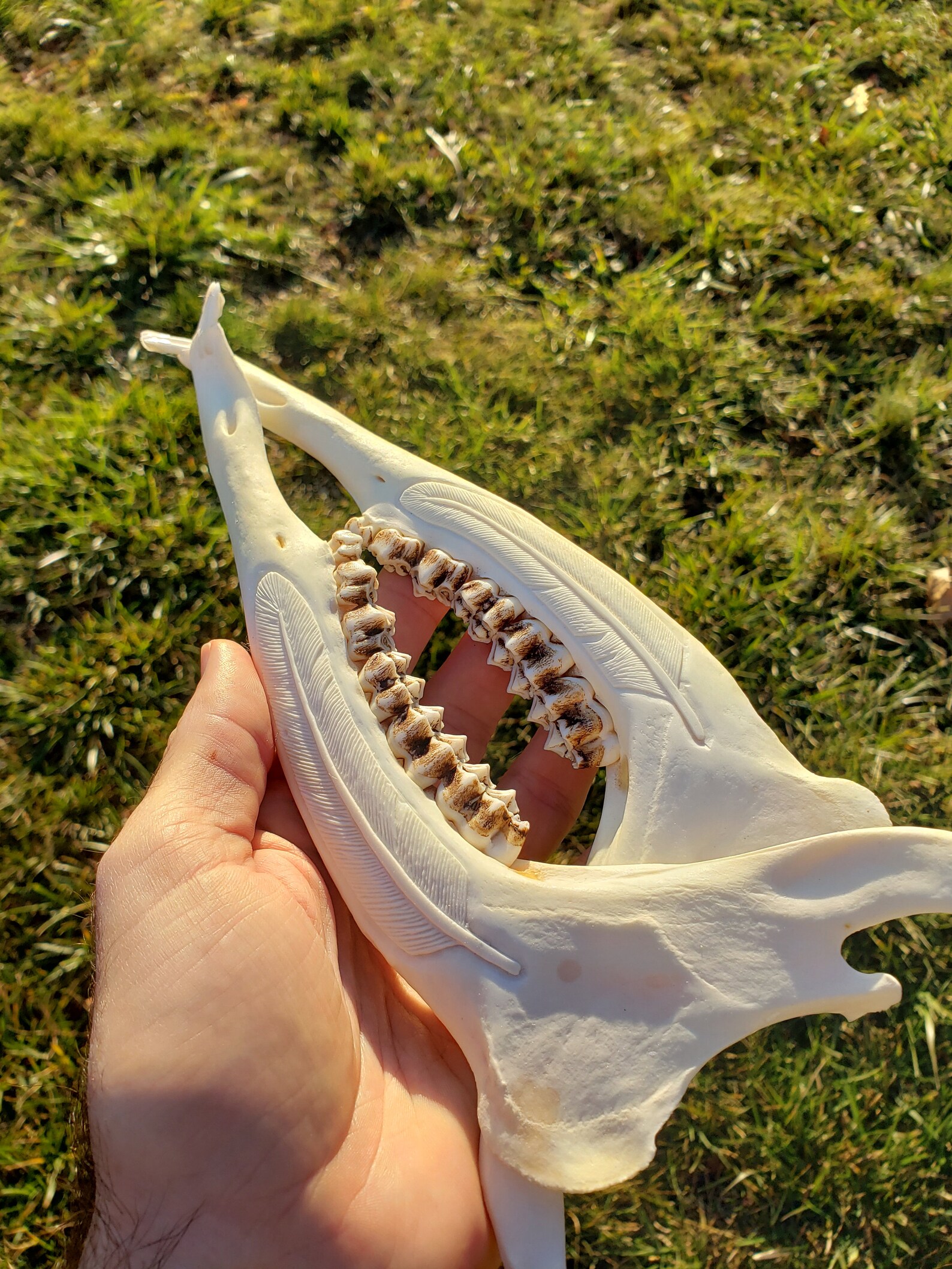 Bone Carving Tutorial and Video - Feather Carving - Etsy