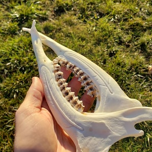 Bone Carving Tutorial and Video - Feather Carving - Etsy