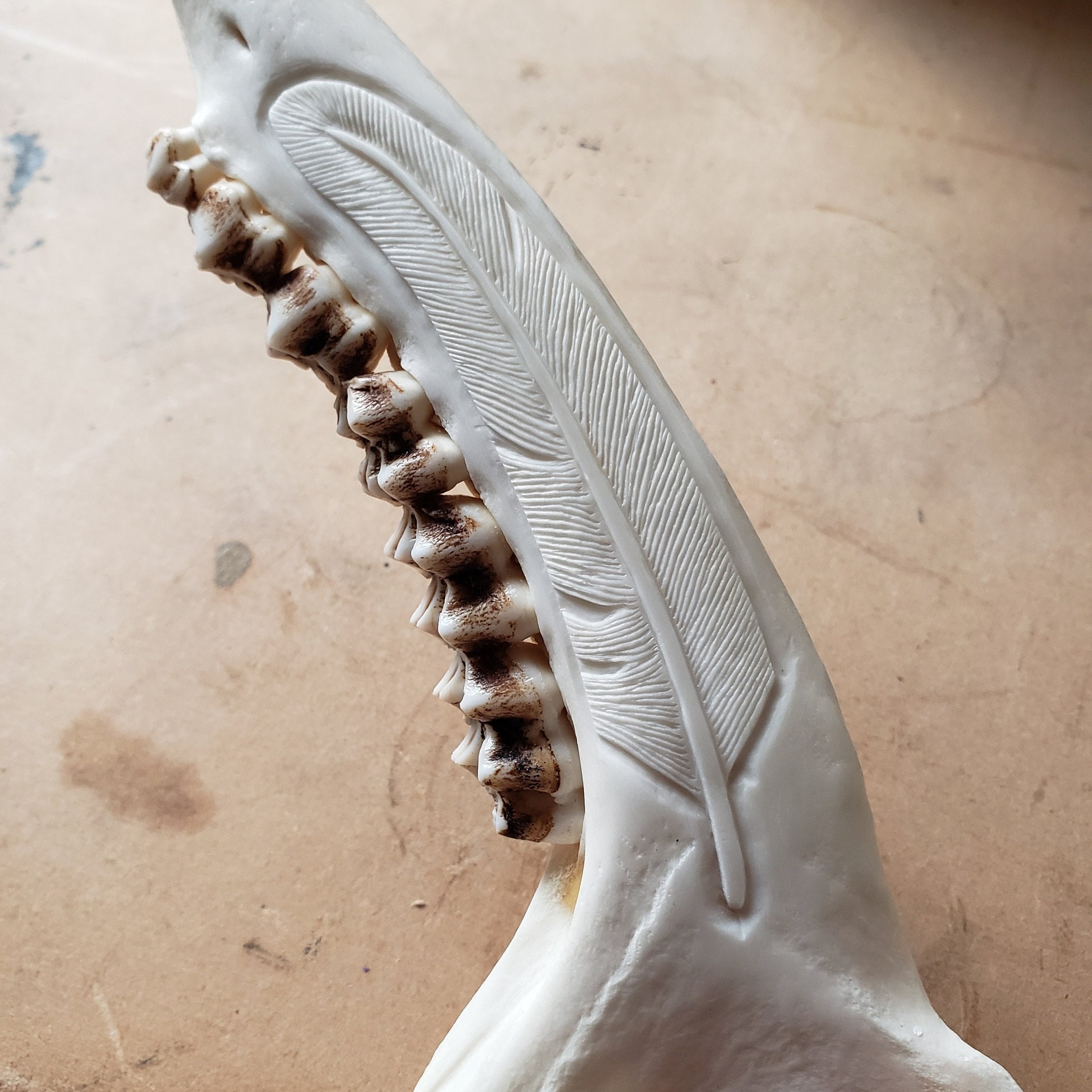 Bone Carving Tutorial and Video - Feather Carving - Etsy