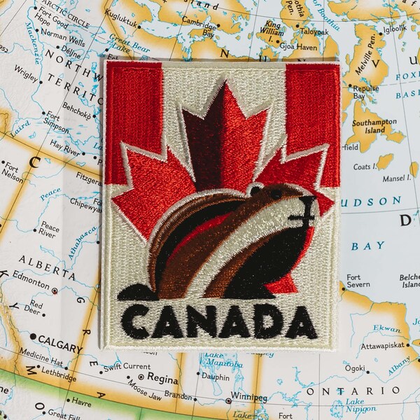 Canadian Beaver - Etsy