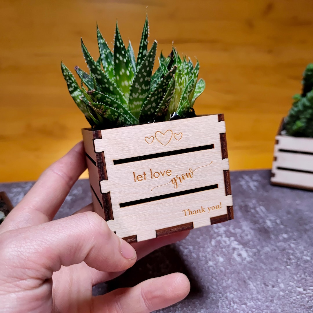 Engraved Mini Boxes Wedding Favors, Personalized Succulents Pot, Box ...