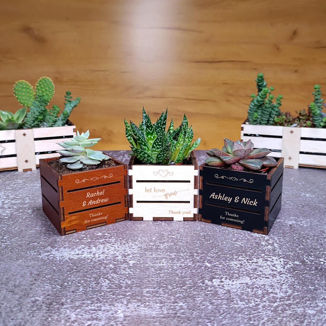 Plywood Mini Succulent Boxes, Wedding Favors, Engraved Planter Mini ...