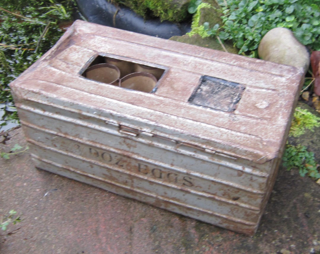 Rare Vintage Tin Egg Box With Original Egg Dividers for Transporting ...