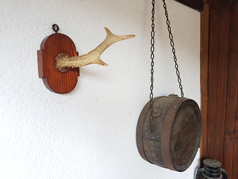 Horn of Roenatural ROE ANTLER / Pair of Deer Horn / Real Roe | Etsy