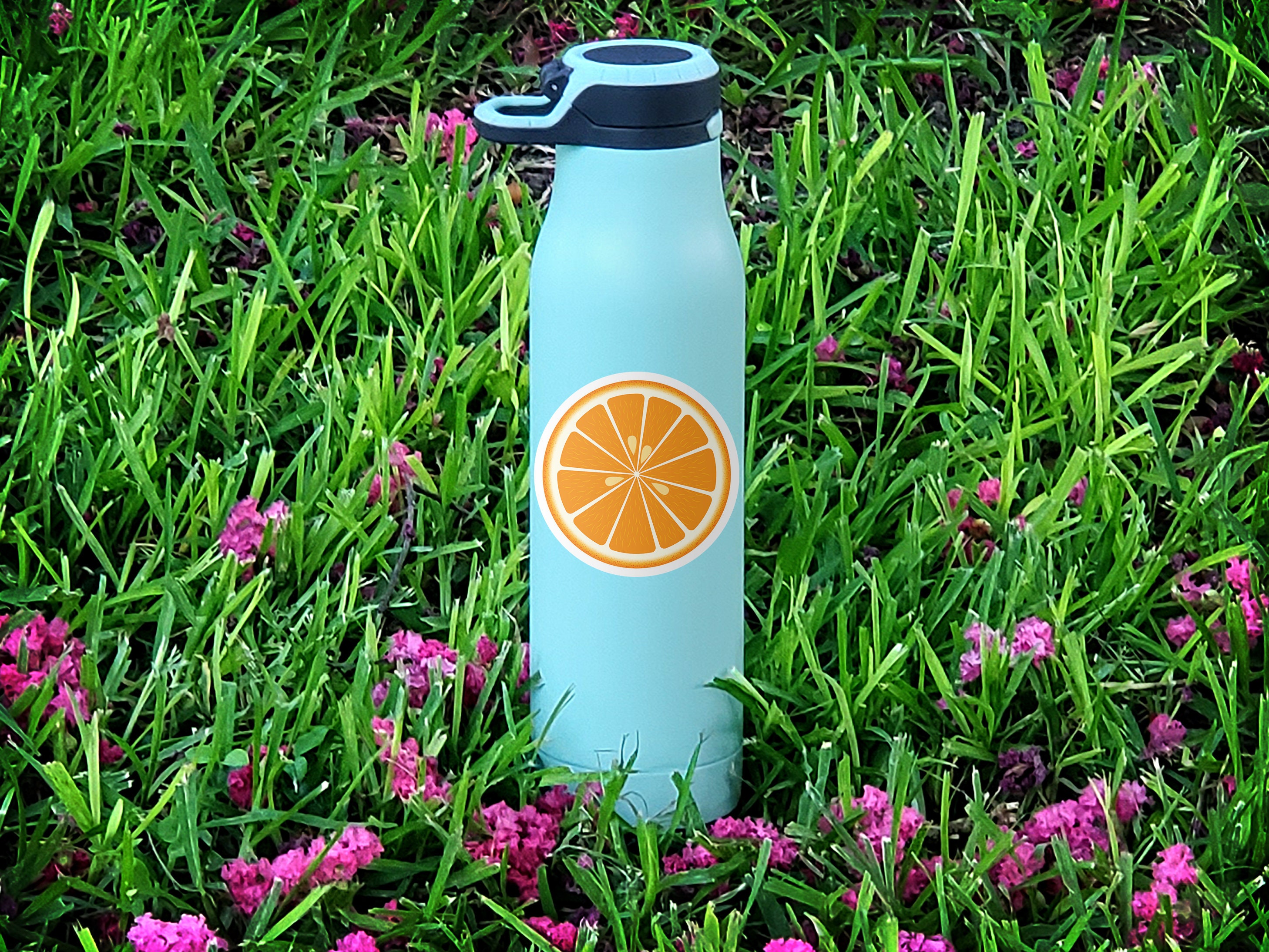 Lemon Orange Lime Stickers Citrus Fruit Waterproof Sticker - Etsy UK