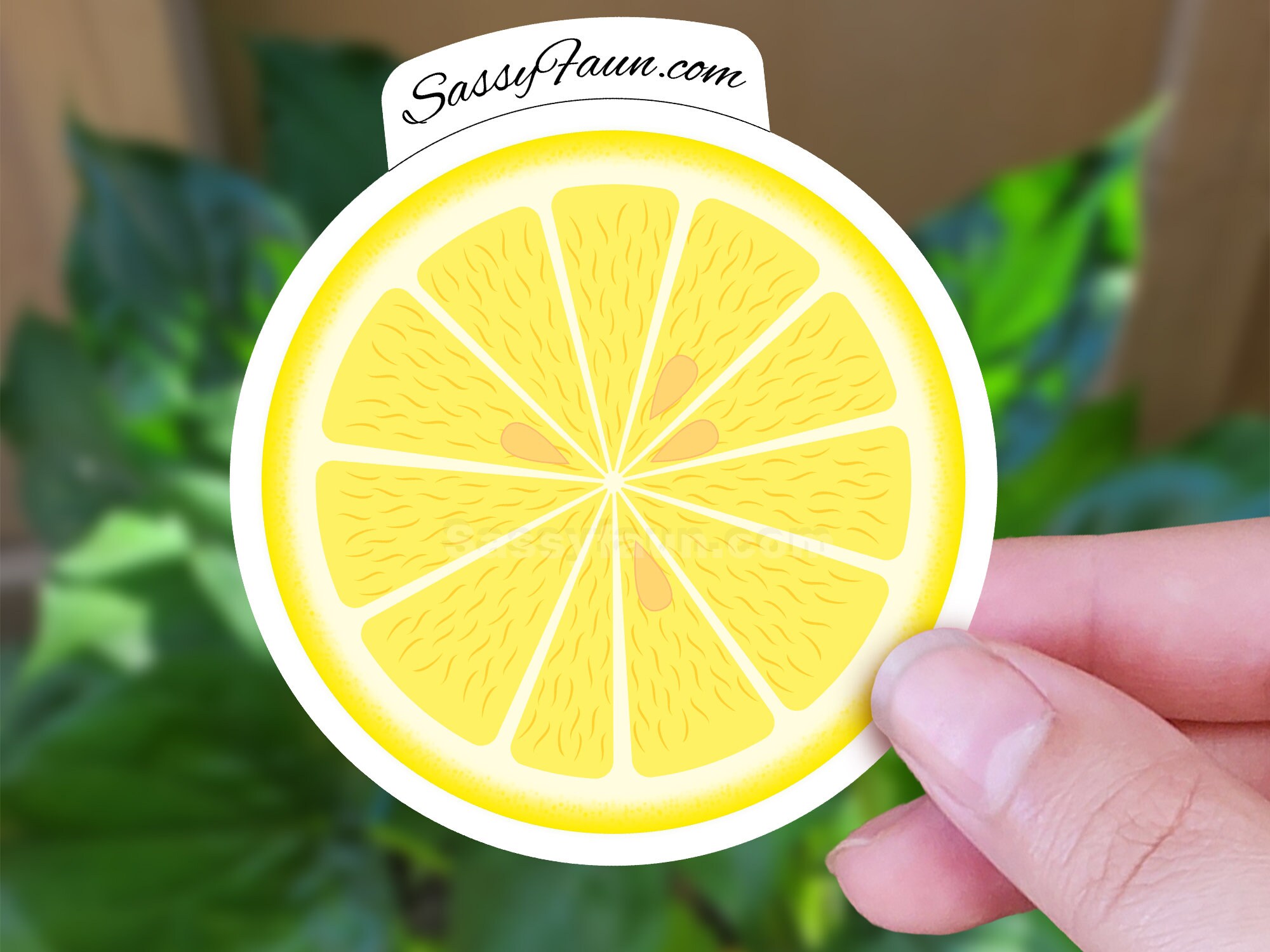 Lemon Orange Lime Stickers Citrus Fruit Waterproof Sticker - Etsy UK