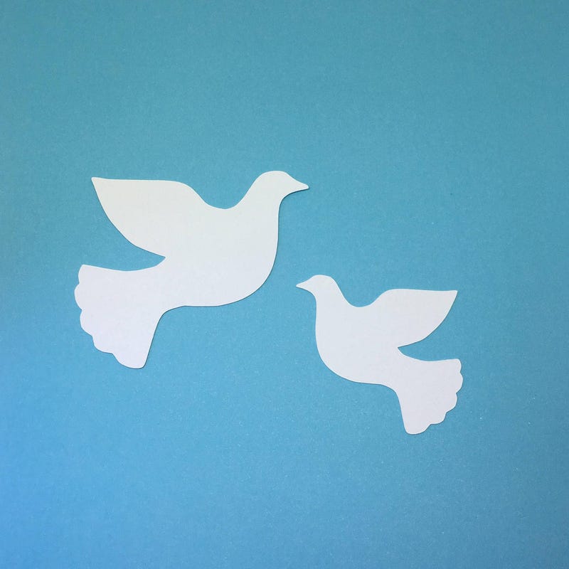 Blue Dove - Etsy