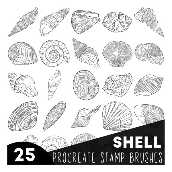 Sea Shell Stamp - Etsy