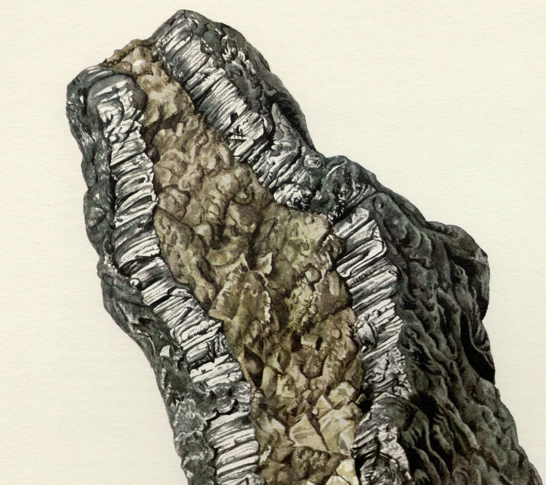 GRAPHITE PRINT Vintage Lithograph From 1967 - Etsy