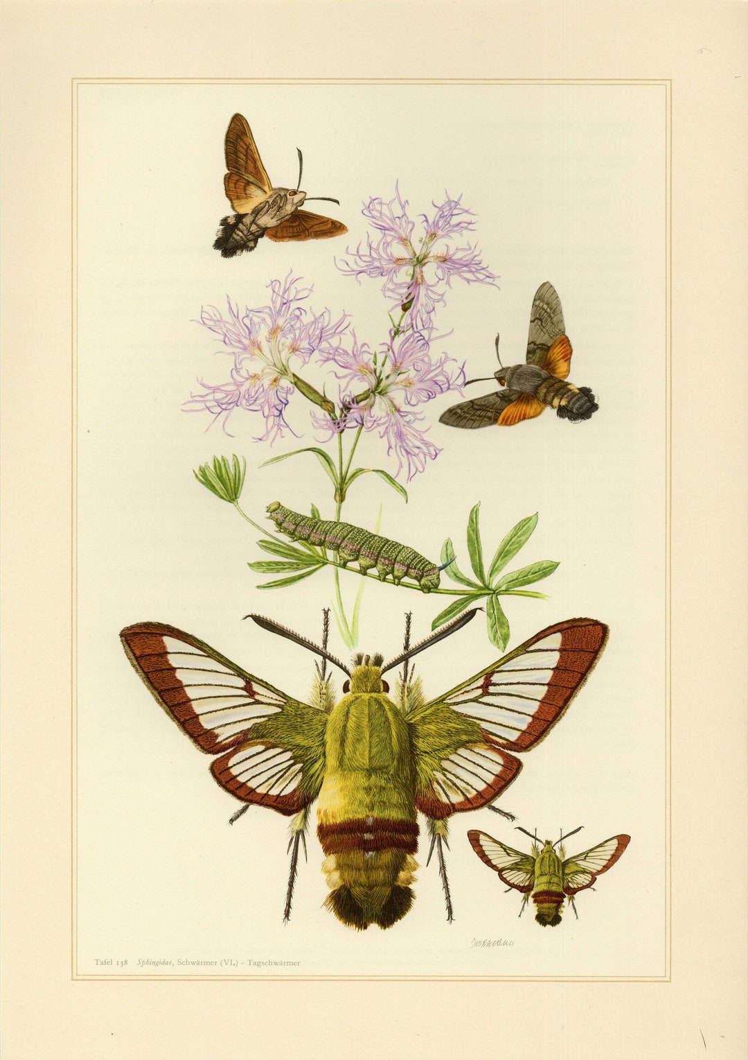 This item is unavailable - Etsy