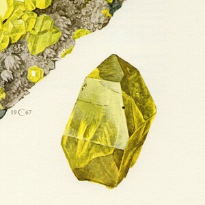 SULFUR PRINT Vintage Lithograph From 1967 - Etsy